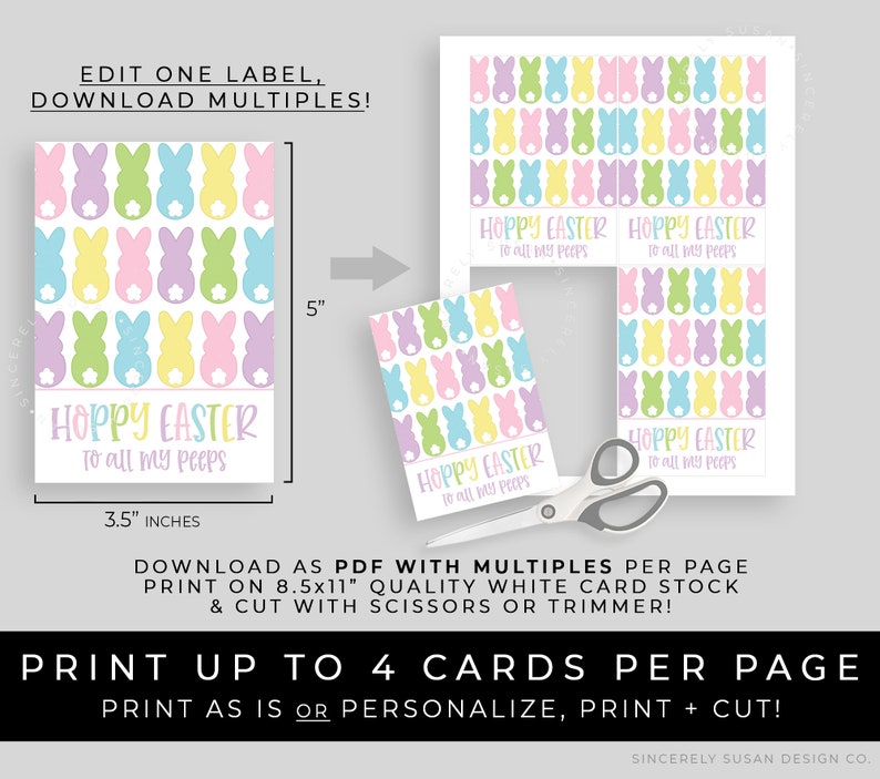 CUSTOMIZABLE Easter Mini Cookie Cards, Printable Hoppy Spring Bunny ...