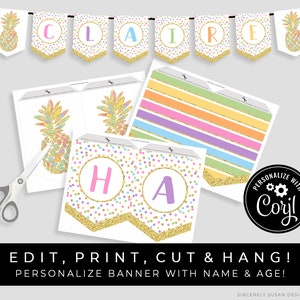 Pineapple Birthday Banner Aloha Luau Party Decorations Rainbow Confetti ...