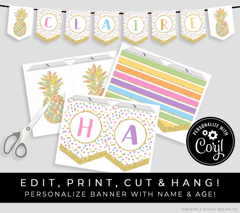 Pineapple Birthday Banner Aloha Luau Party Decorations Rainbow Confetti ...