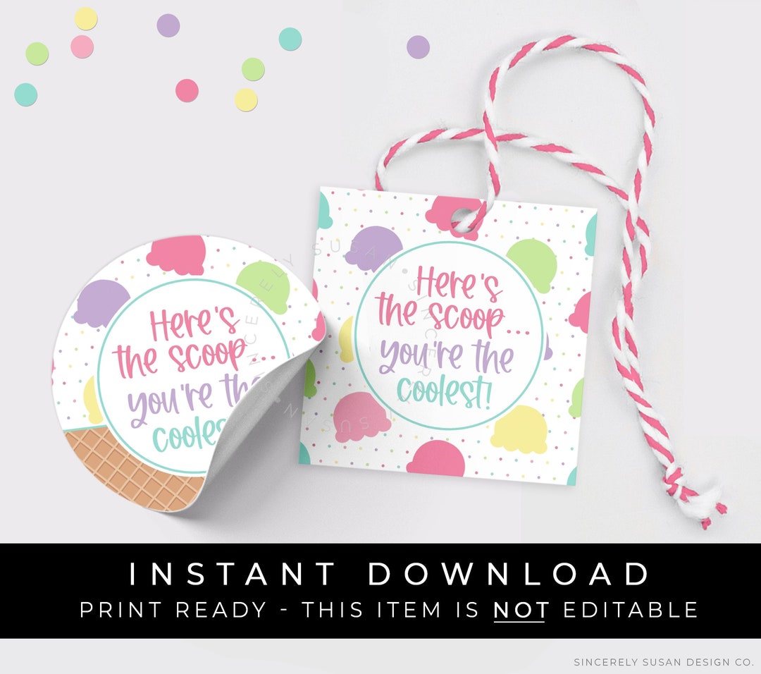 Instant Download Here's the Scoop Ice Cream Cookie Tag, You're the ...
