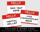 Friends Party Name Tag Sticker Favor Hello My Name is Funny - Etsy