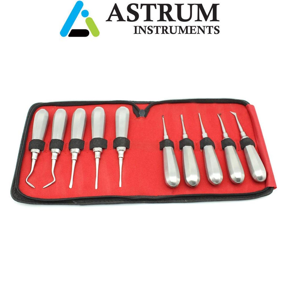 10pcs Dental Elevator Teeth Extraction Stainless Steel Curved Root Lift ...