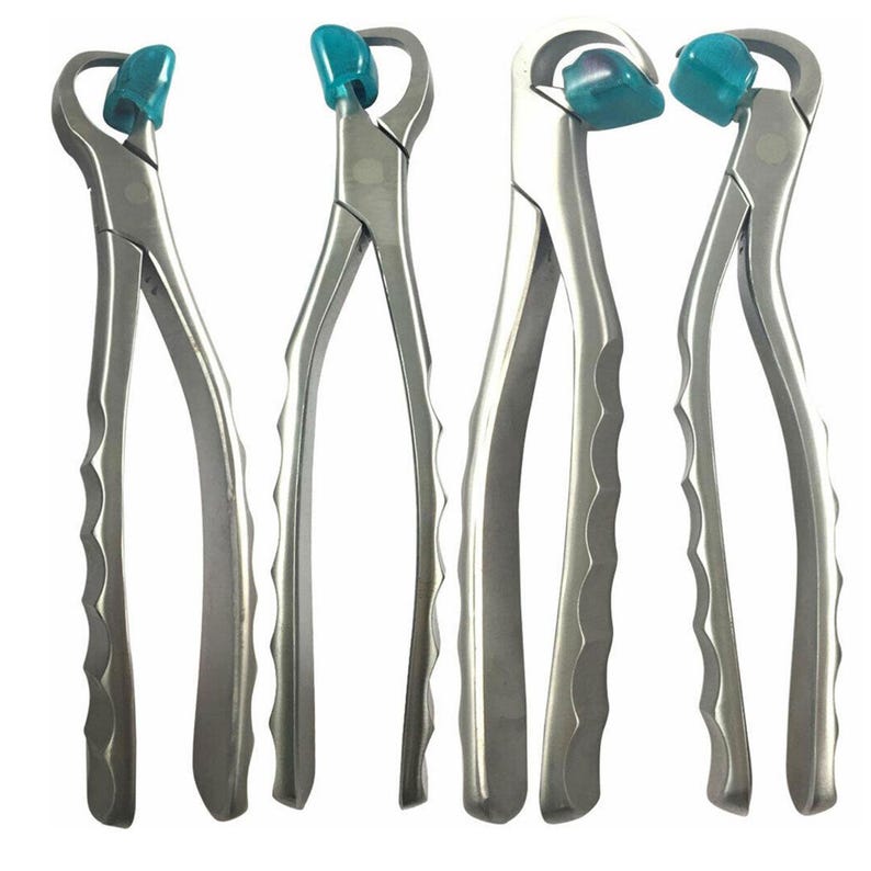 Dental Extraction Forceps Molar Series Set of 4 Pcs Dental Forceps ...