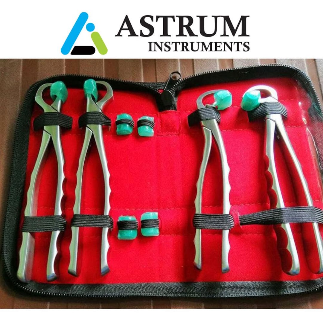 Dental Extraction Forceps Molar Series Set of 4 Pcs Dental Forceps ...