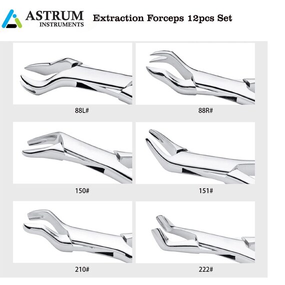 Dental Instruments Tools Dental Extracting Forceps #222 - Stainless ...