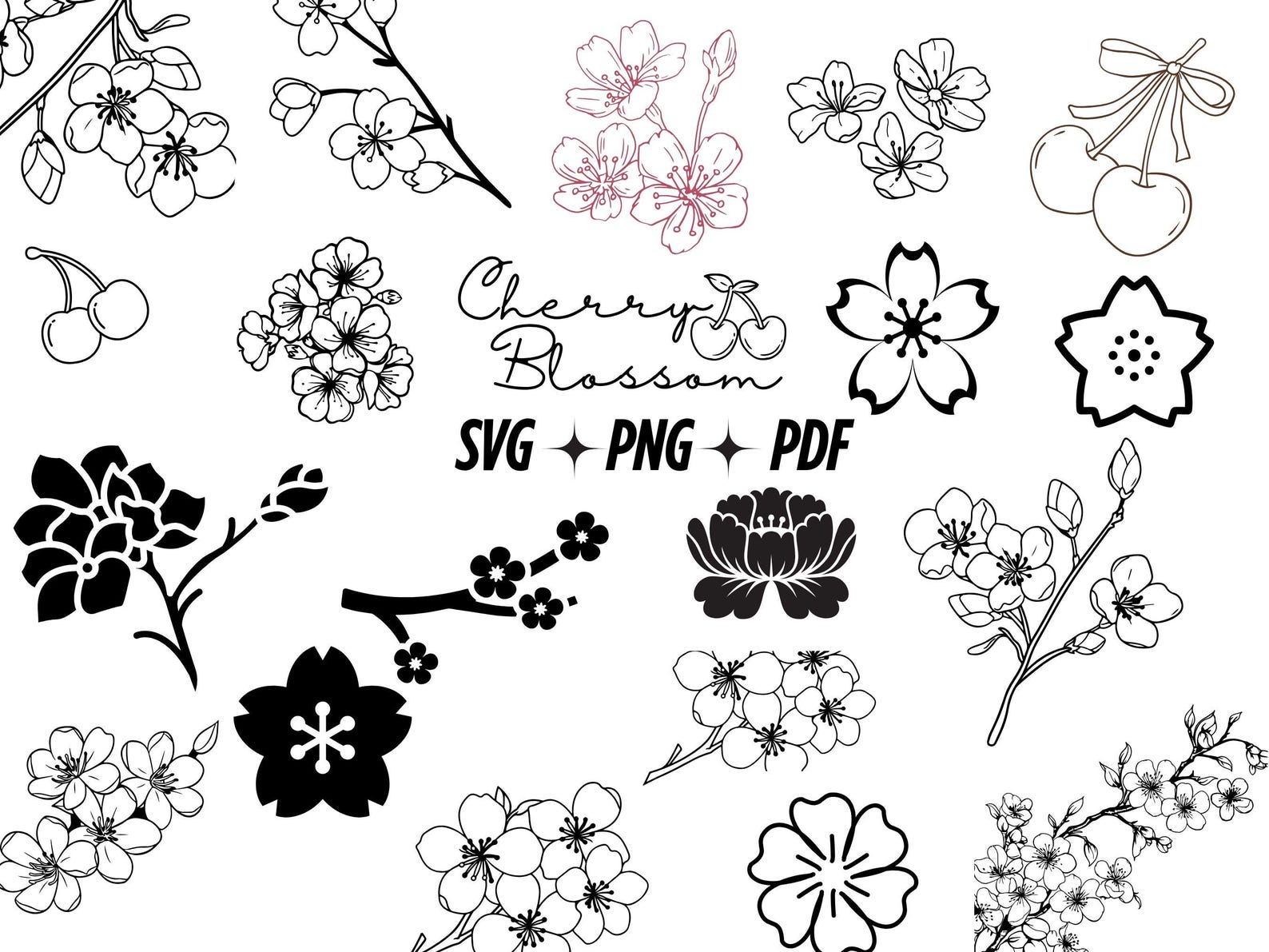 Cherry Blossom Svg, Cherry Blossom Png, Cherry Blossom Clipart, Cherry ...