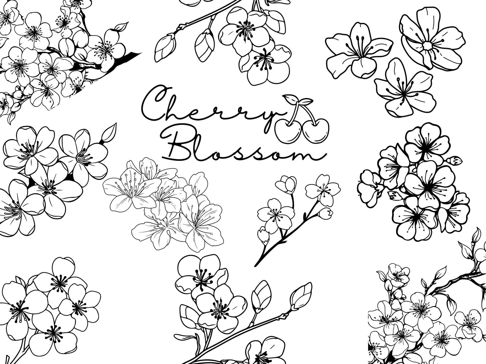Cherry Blossom Svg, Cherry Blossom Png, Cherry Blossom Clipart, Cherry ...