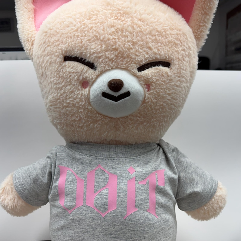 Skzoo Wolf Chan Plush - Etsy