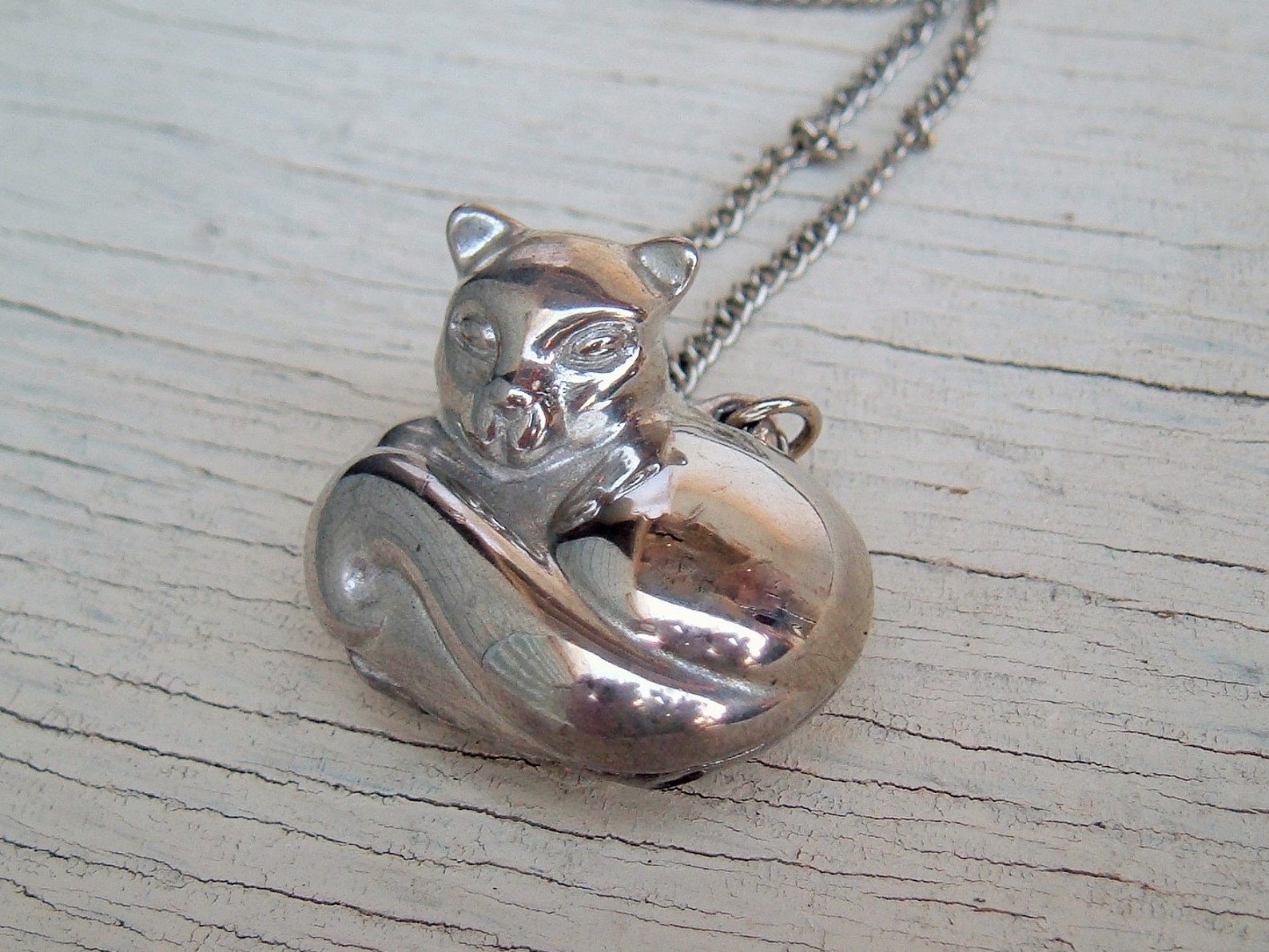 Silver Cat Necklace Perfume Locket Animal Locket Pill Box - Etsy
