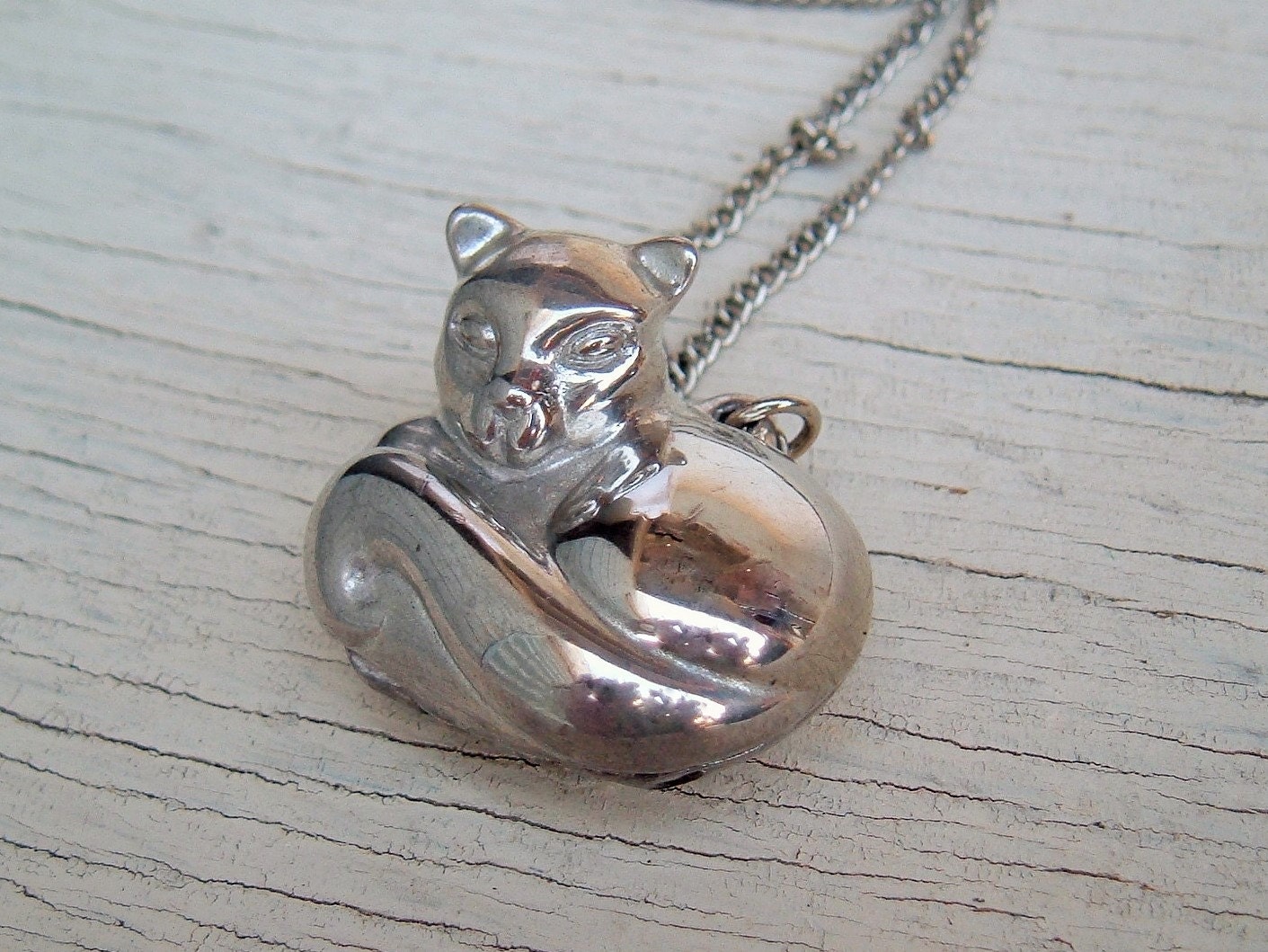 Silver Cat Necklace Perfume Locket Animal Locket Pill Box - Etsy