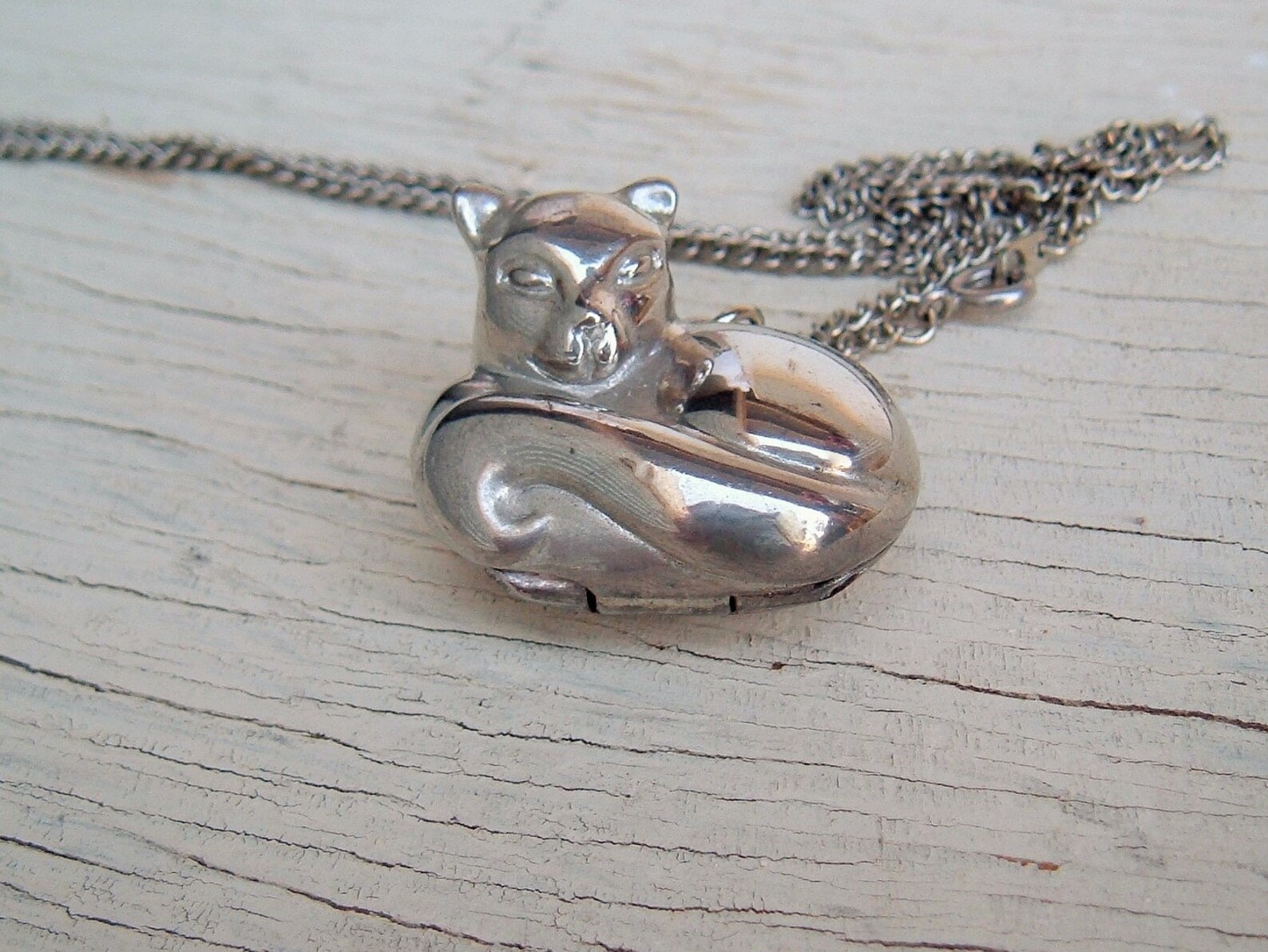 Silver Cat Necklace Perfume Locket Animal Locket Pill Box - Etsy