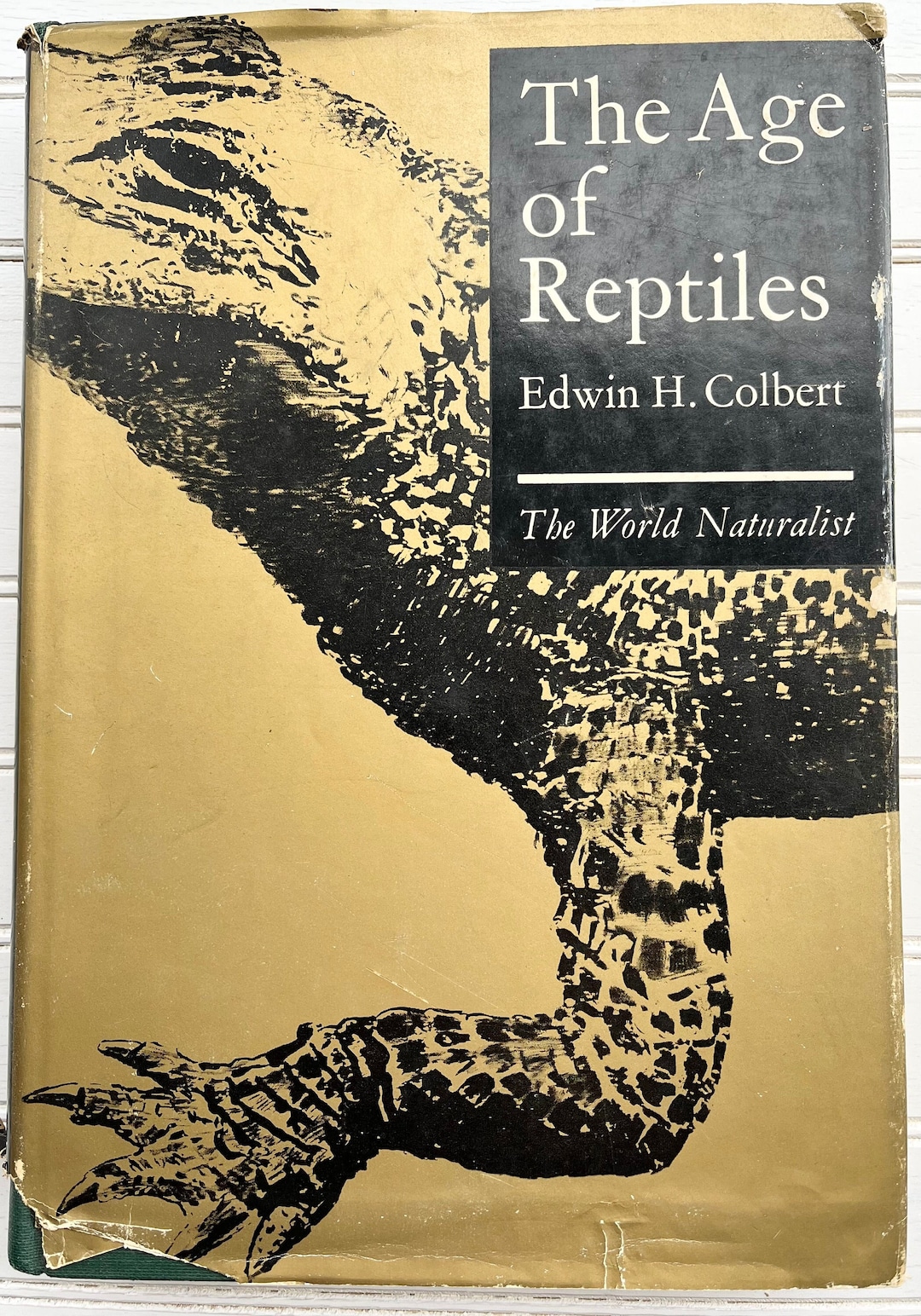 The Age of Reptiles by Edwin H. Colbert, 1965, the World Naturalist - Etsy