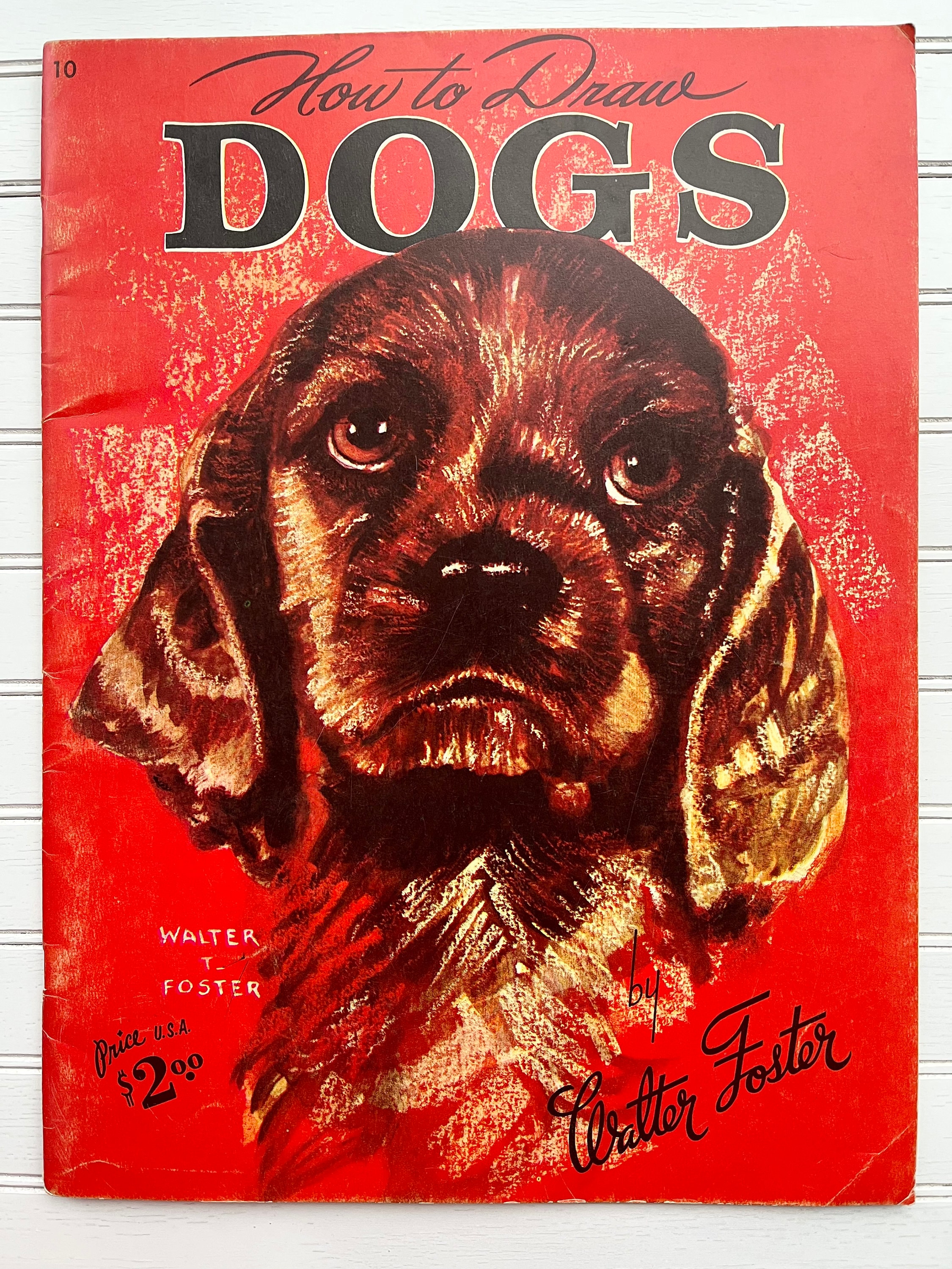 Walter Foster Paint and Draw Books, Art Books, Choice, Landscapes, Dogs ...