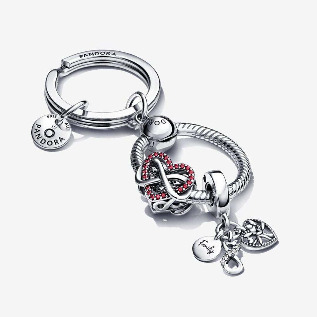 Pandora S925 Silver ALE Family Infinity Keychain Set - Etsy