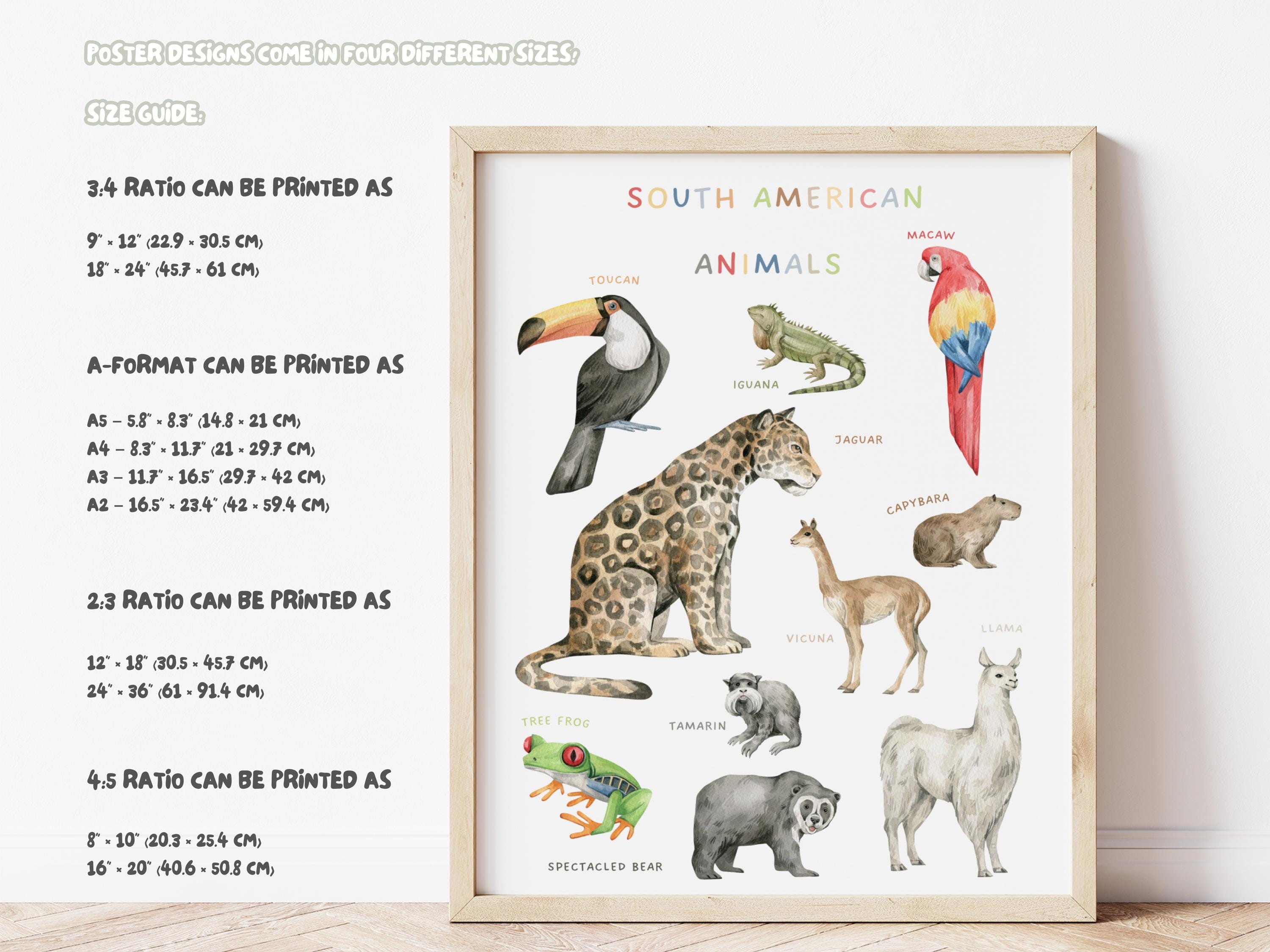 South American Animals Poster | World Map | Educational Posters ...