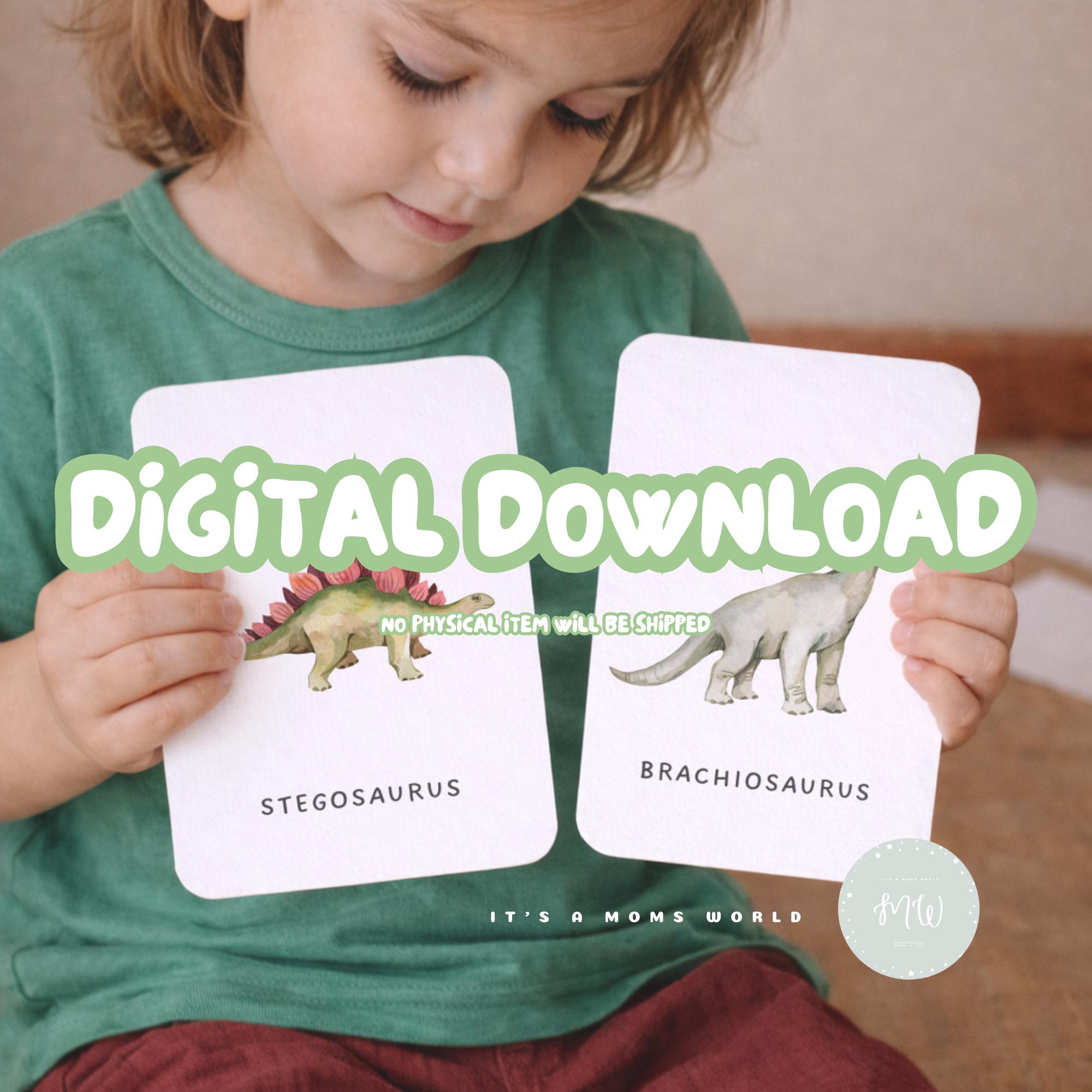 10 Dinosaur Flashcards Printable | Montessori 3-part Cards | Dinosaur ...