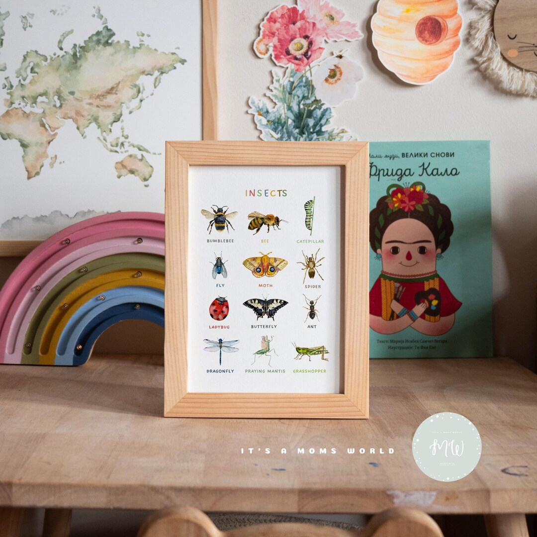 Printable Insects Poster | Bugs Poster | Educational Posters ...