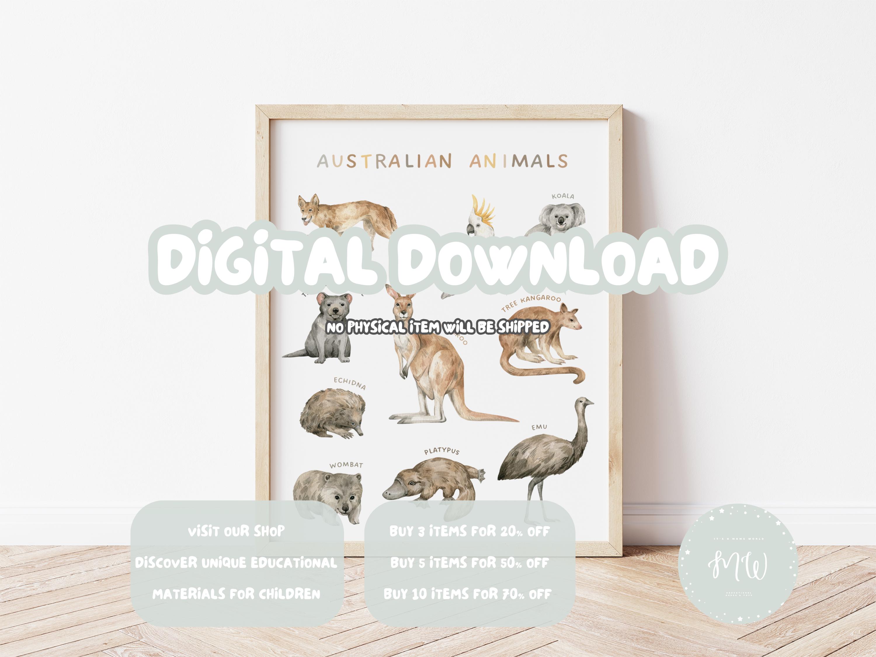 Australian Animals Poster | World Map | Educational Poster | Classroom ...