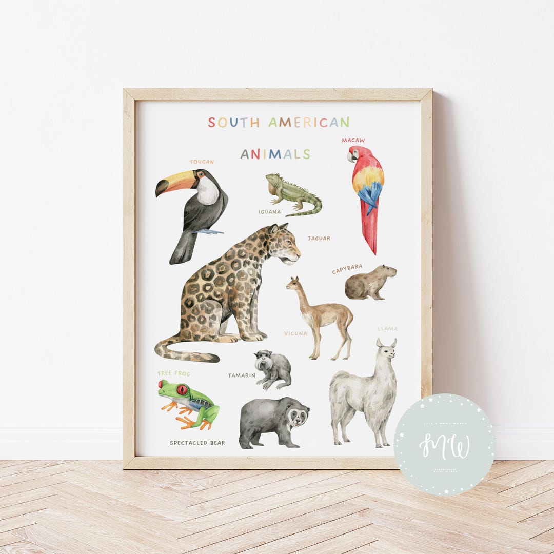 South American Animals Poster: Kids Classroom Decor (digital Download ...