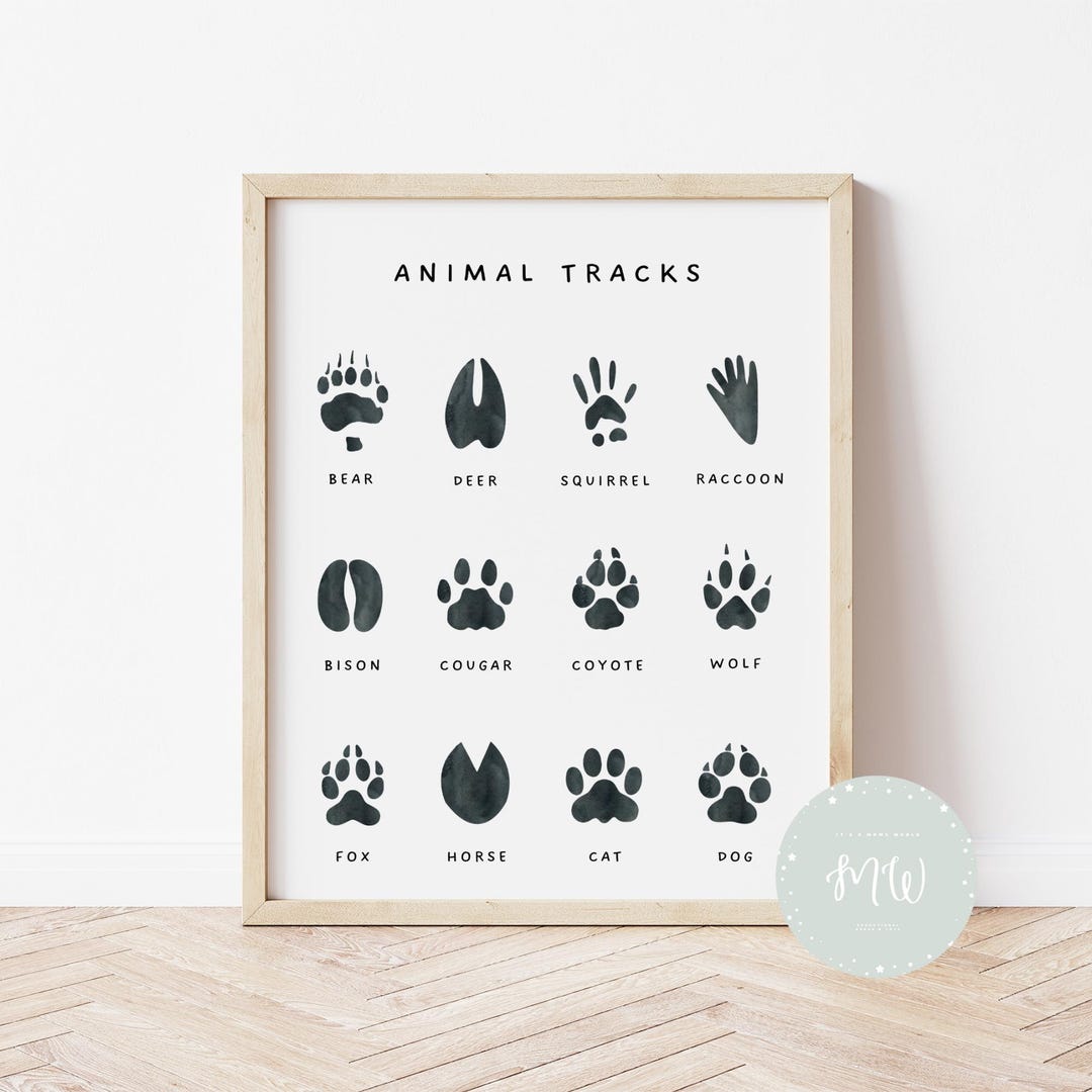Animal Tracks Poster | Wild Animals | Woodland Animals | Educational ...