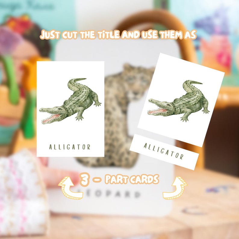 110 Montessori Flashcards | Wild Animals, Insects, Sea Animals, Fruits ...