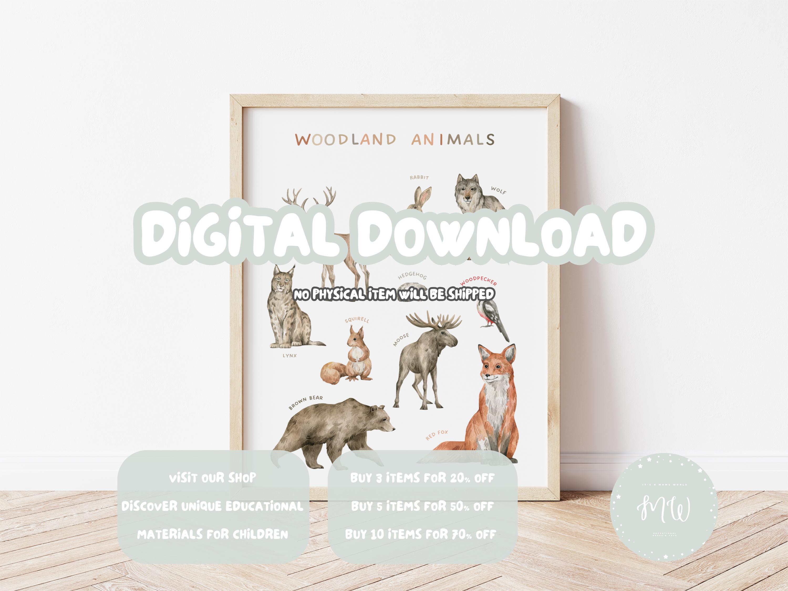 Woodland Animals Poster | Wild Animals Poster | Educational Posters ...