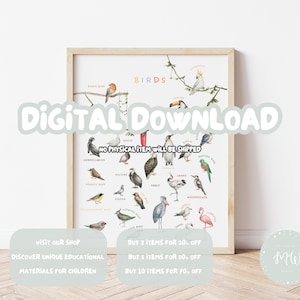 Printable Birds Poster | Wild Animals Poster | Educational Posters ...