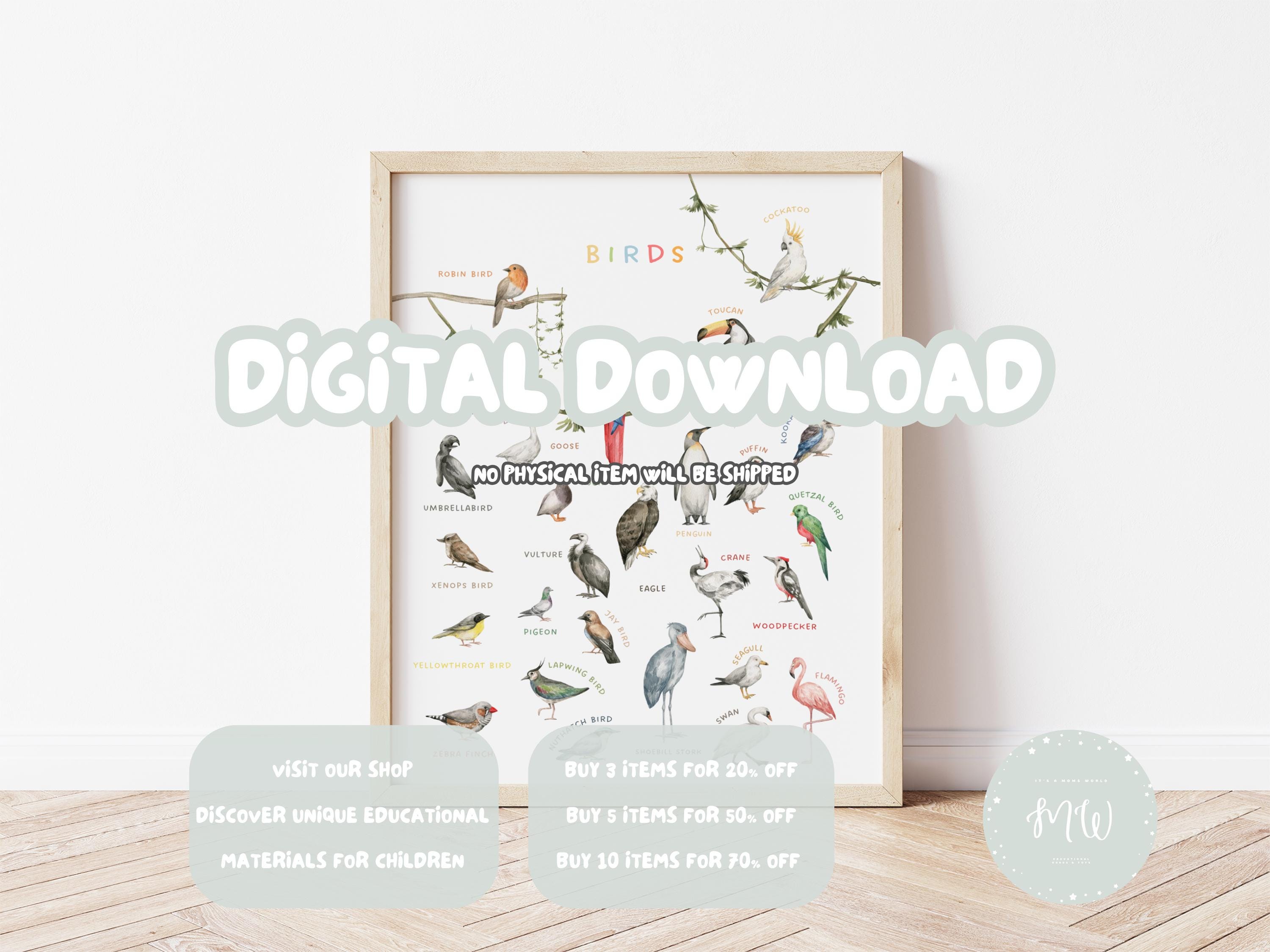 Printable Birds Poster | Wild Animals Poster | Educational Posters ...