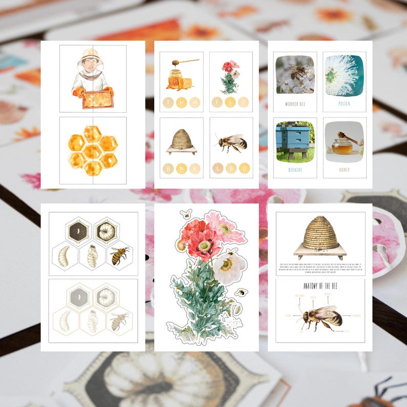 Bee Unit Study | Preschool Worksheets | Montessori & Waldorf-inspired ...