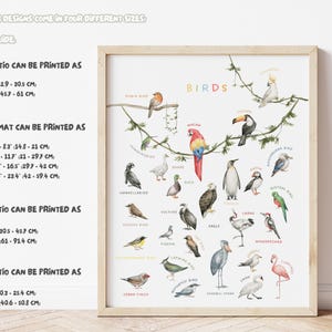 Printable Birds Poster | Wild Animals Poster | Educational Posters ...