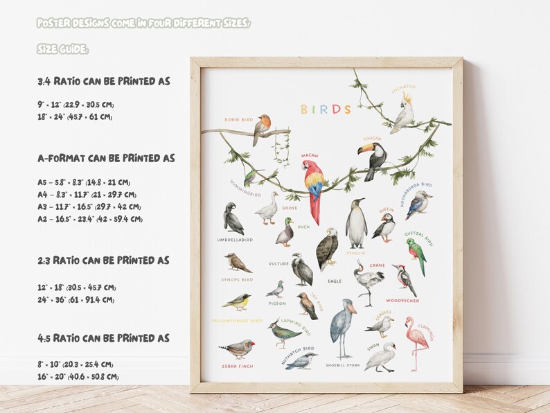 Printable Birds Poster | Wild Animals Poster | Educational Posters ...