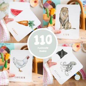 110 Montessori Flashcards | Wild Animals, Insects, Sea Animals, Fruits ...