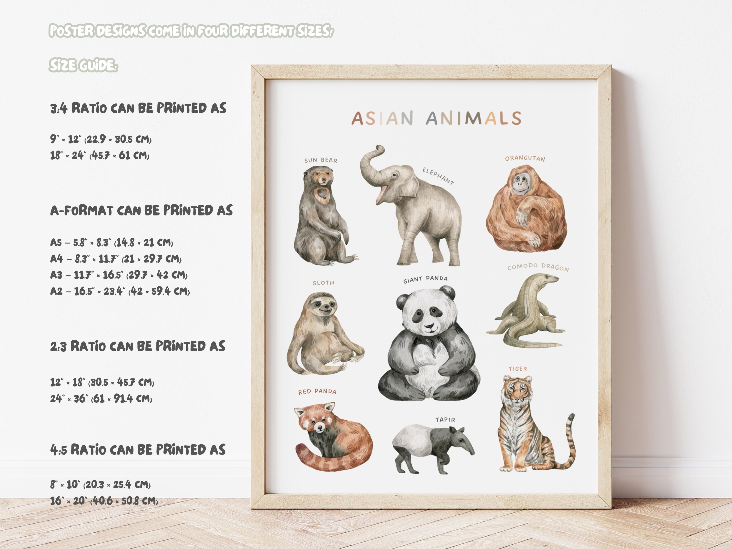 Asian Animals Poster: Educational World Map (digital Download) - Etsy