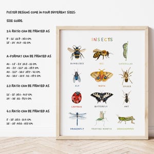 Insects Montessori Poster: Educational Kids Wall Art (digital Download ...