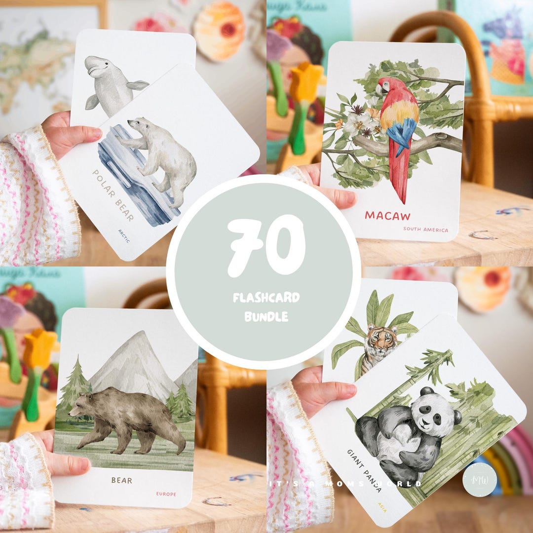 Animal Flashcards: 7 Continents, Montessori Educational Cards (digital ...