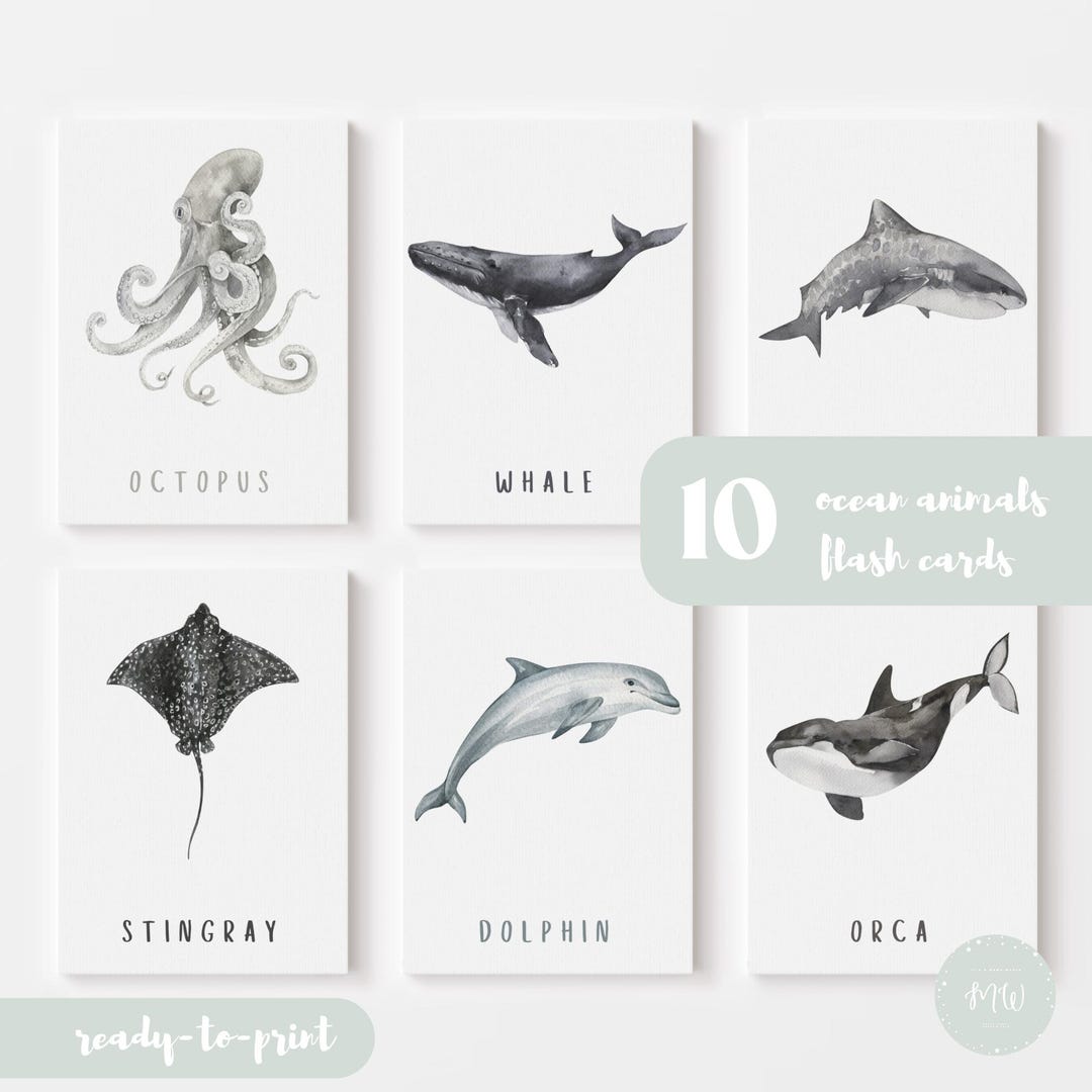Montessori Sea Animals Flashcards | Interactive Ocean Learning Cards ...