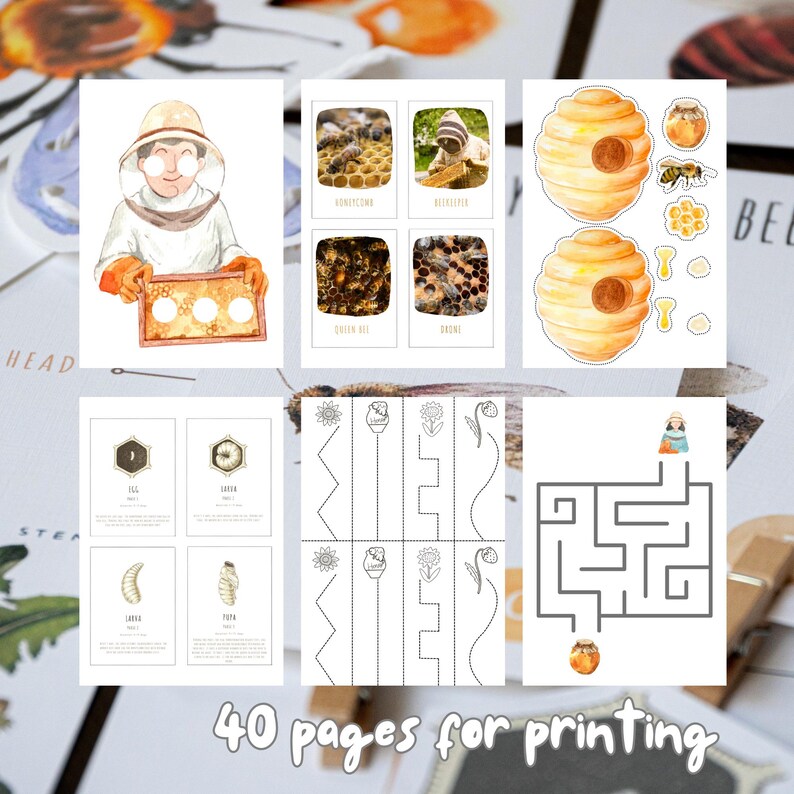 Bee Unit Study | Preschool Worksheets | Montessori & Waldorf-inspired ...