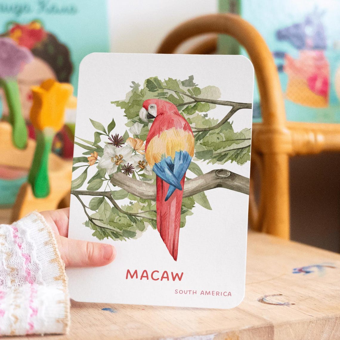 South American Animal Flashcards: Montessori Homeschool Printable ...