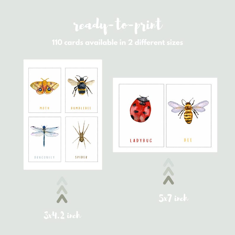 110 Montessori Flashcards for Kids | Flashcard Bundle | Homeschool ...