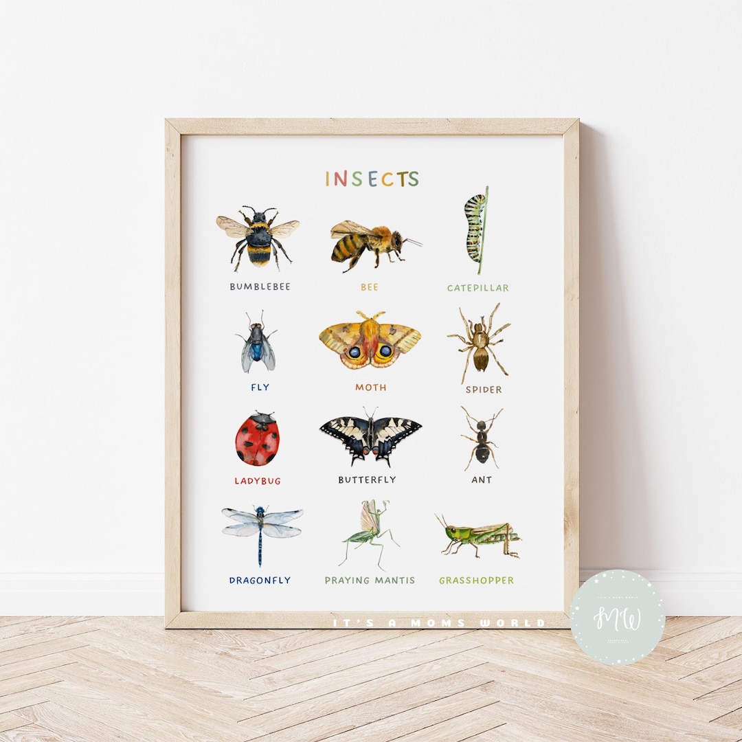 Insects Montessori Poster: Educational Kids Wall Art (digital Download ...