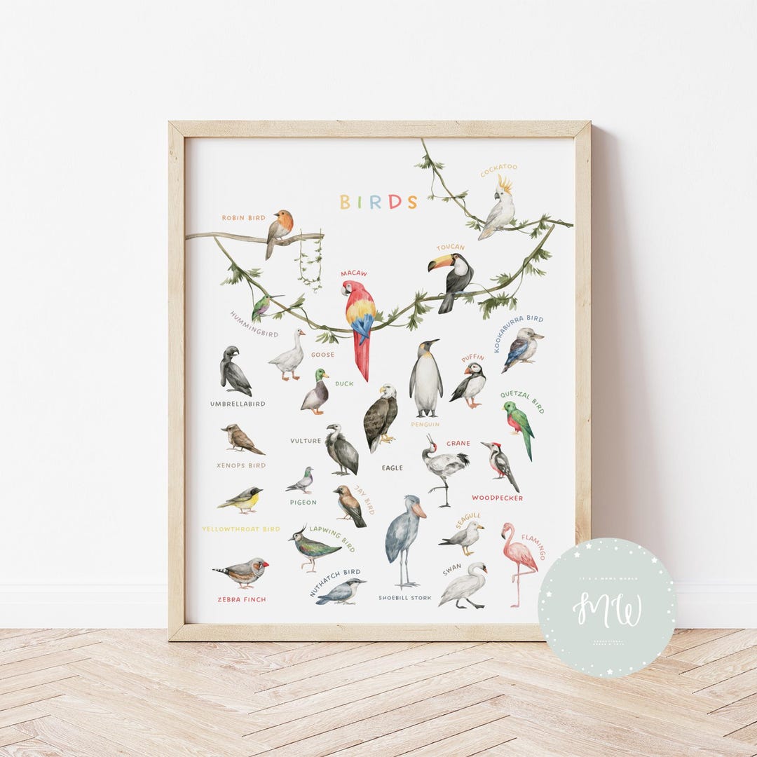 Printable Birds Poster | Wild Animals Poster | Educational Posters ...