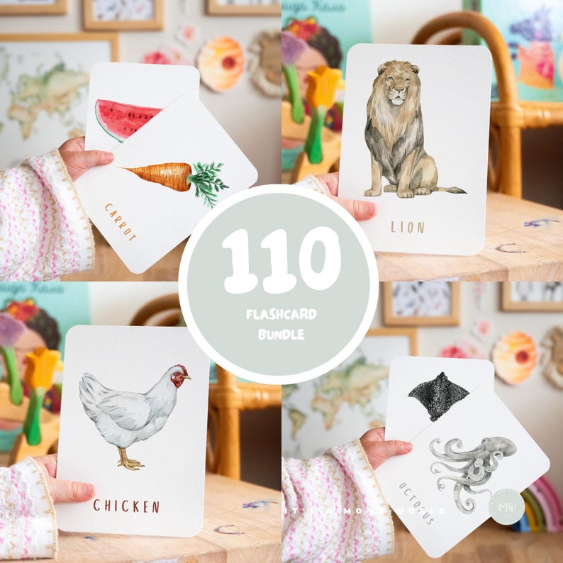 110 Montessori Flashcards for Kids | Flashcard Bundle | Homeschool ...