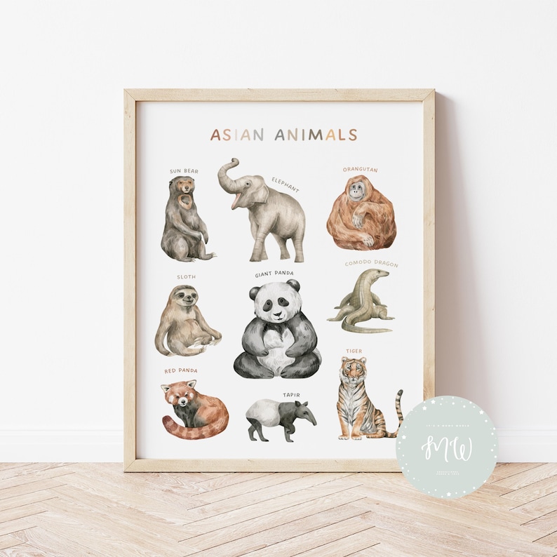 Asian Animals Poster: Educational World Map (digital Download) - Etsy