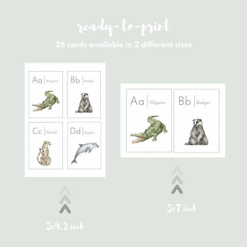 26 Alphabet Animal Flashcards – Printable Educational Cards for Kids ...