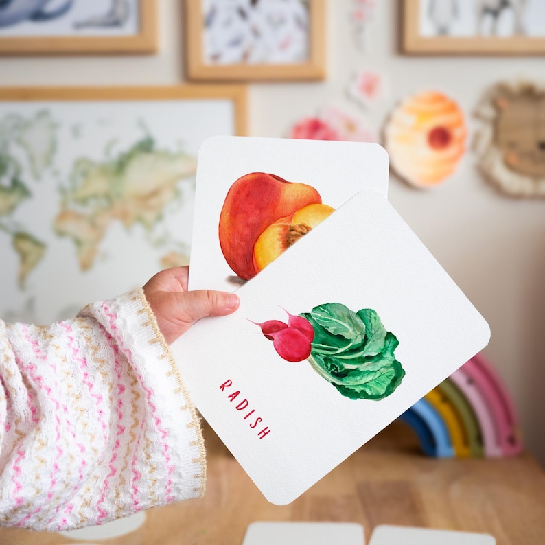 110 Montessori Flashcards | Wild Animals, Insects, Sea Animals, Fruits ...