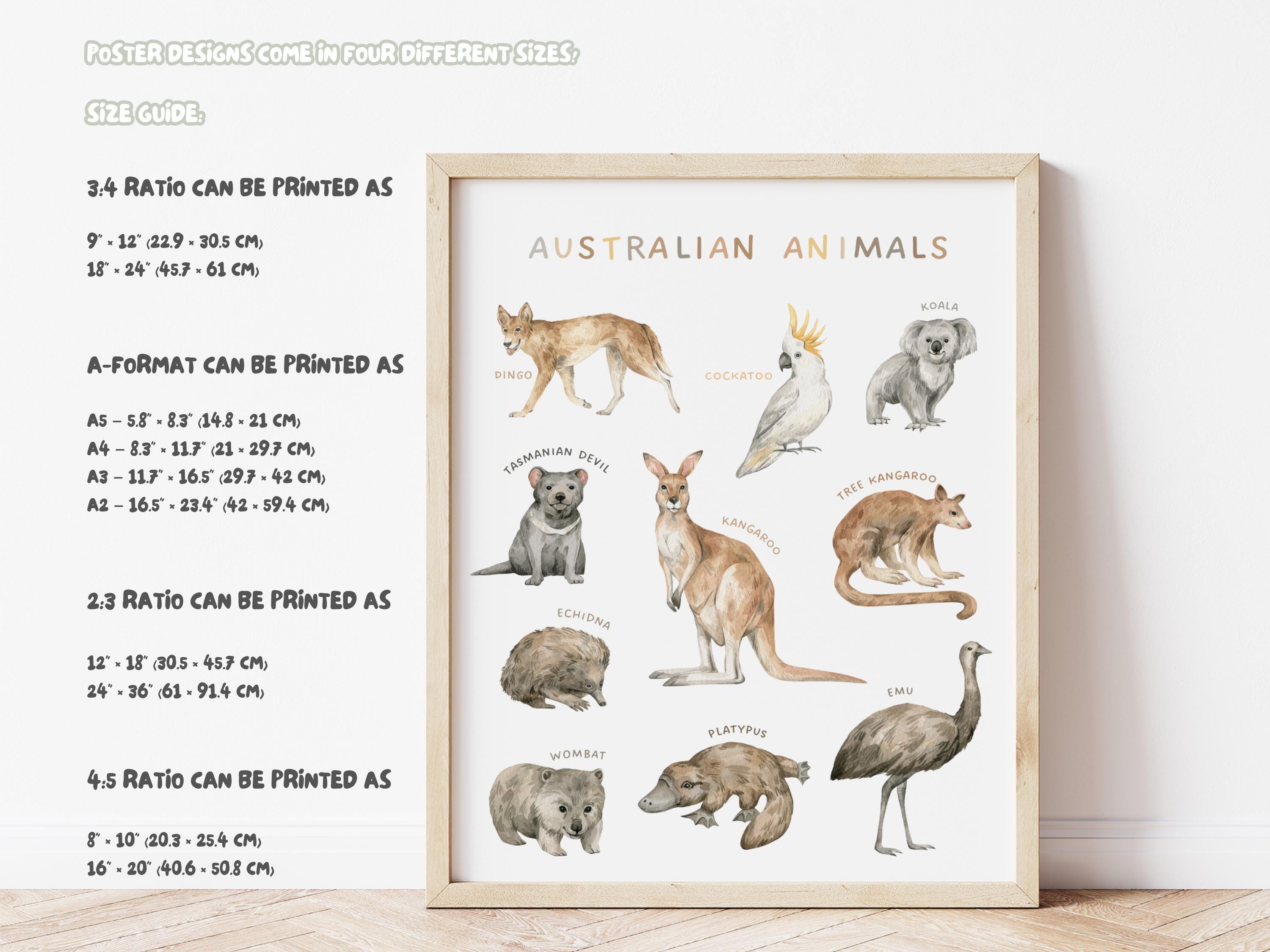 Australian Animals Poster | World Map | Educational Poster | Classroom ...