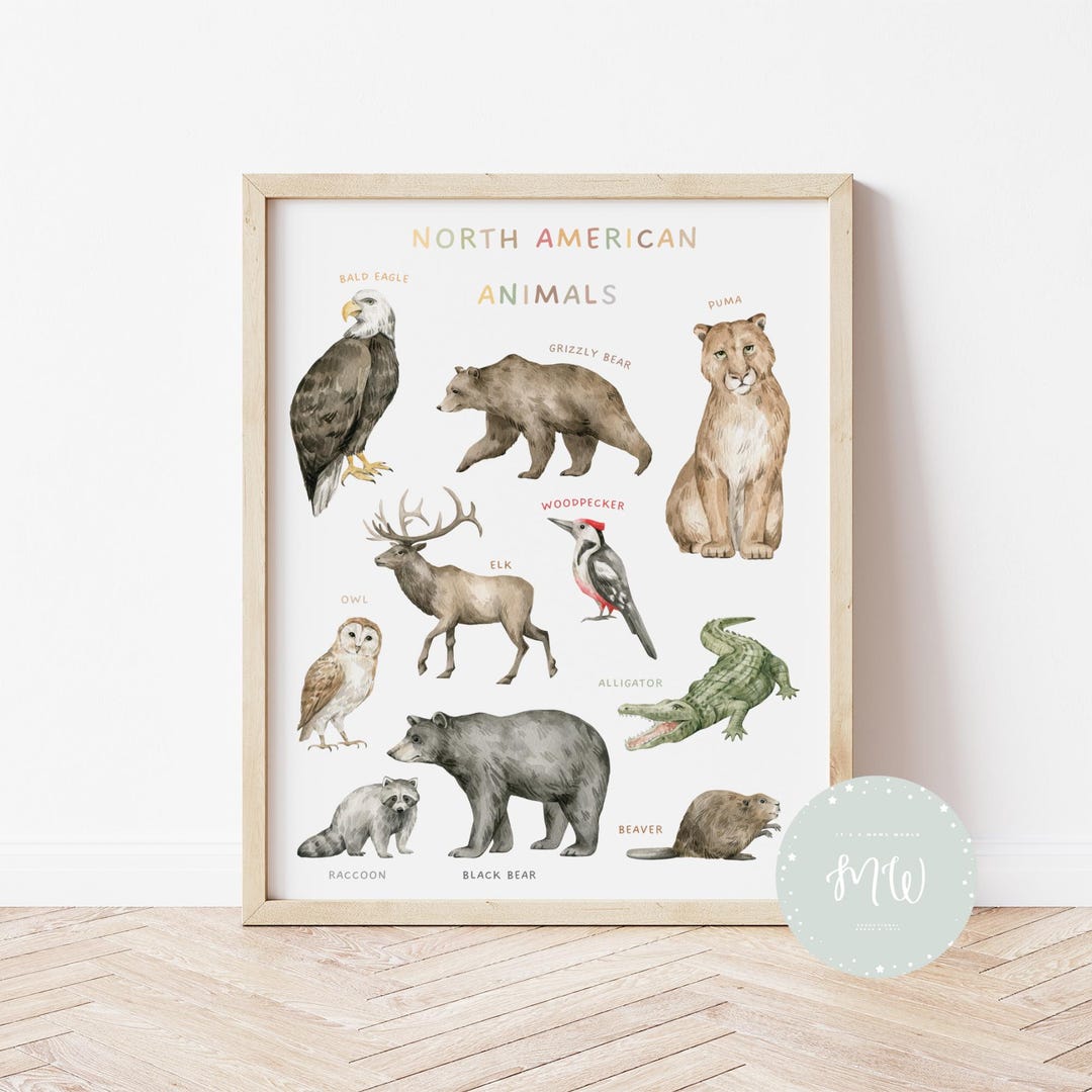 North American Animals Poster: Montessori Kids Wall Art (digital ...