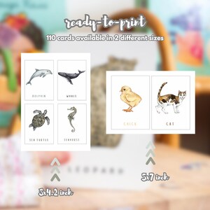 110 Montessori Flashcards | Wild Animals, Insects, Sea Animals, Fruits ...