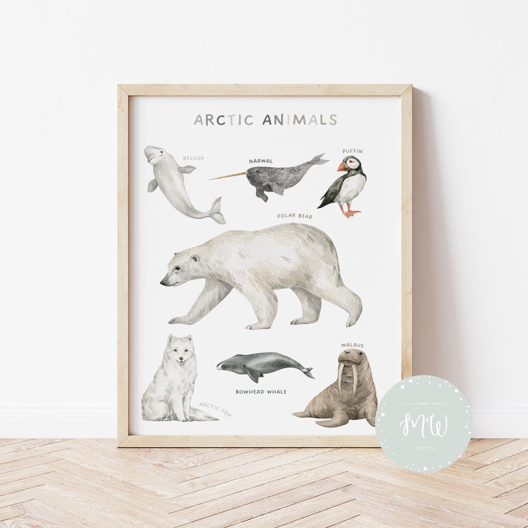 Arctic Animals Poster: Educational Kids Wall Art (digital Download) - Etsy