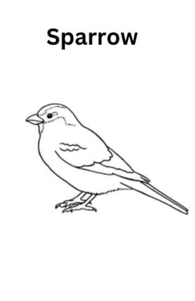 Dibujos para colorear de pájaros / Dibujos para colorear imprimibles ...